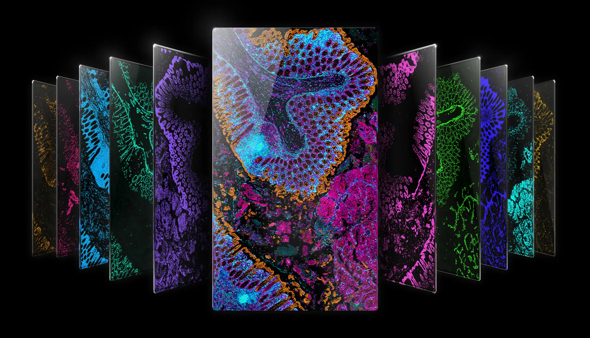 Bioconvergence: Redefining performance in the living world